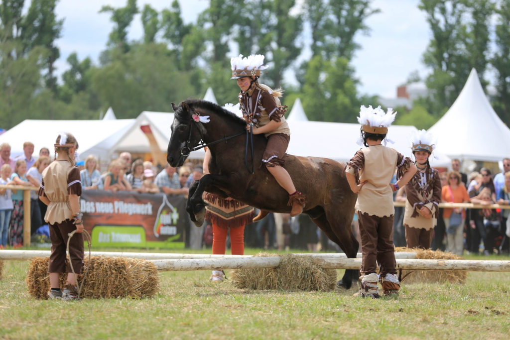Equitana 2018 – lohnt sich der Besuch? - pferde-tipps.de